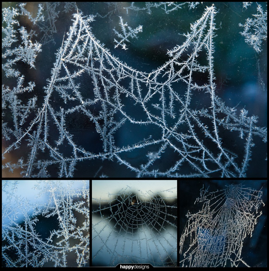 ice spiders | happydesigns